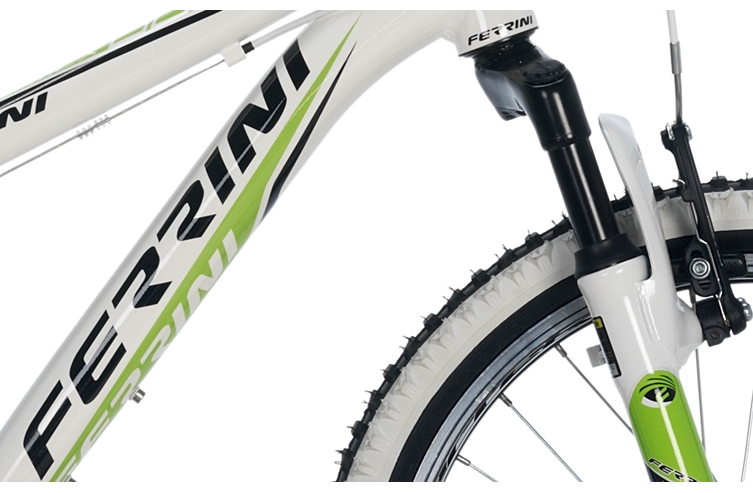 Ferrini Duke 20 | Matrabike.nl