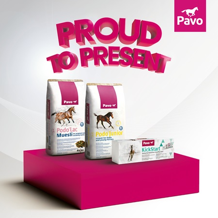 No less than 3 new products in the Pavo breeding range! | Pavo