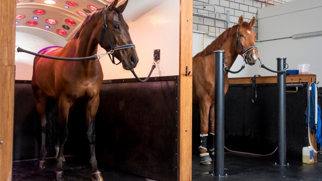 Muscle pain? Here's what you can do! | Pavo