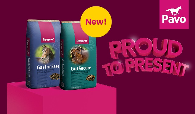 Healthy digestion with Pavo Horsefeed | Pavo
